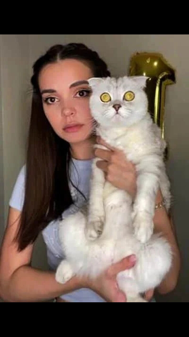 Cat Chaos: When Your Feline Thinks It’s the Boss 😹 | Hilarious Woman ...