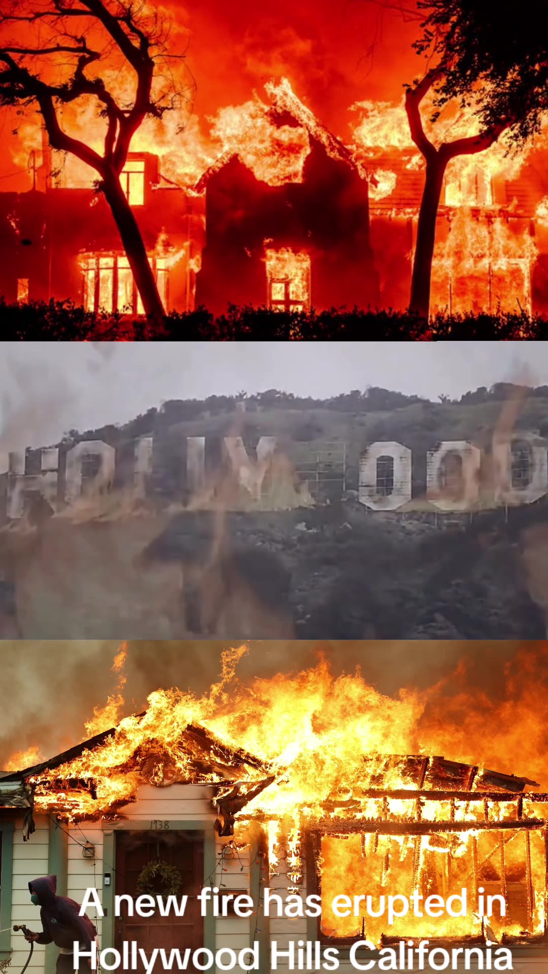 What the Wildfire Did to the Iconic Hollywood Sign and Celebrities Affected