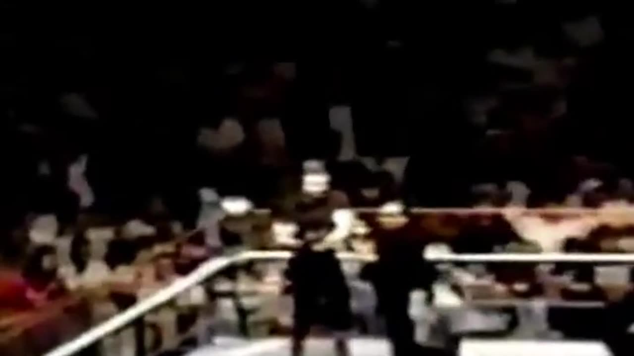 (1991.09.07) The Undertaker vs. Road Warrior Animal - King of the Ring ...