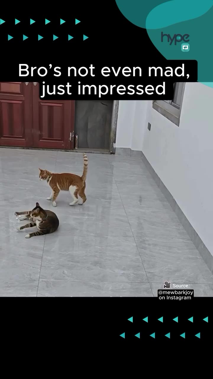Bro was not angry but stunned