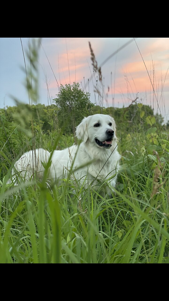 Whoops missed that one