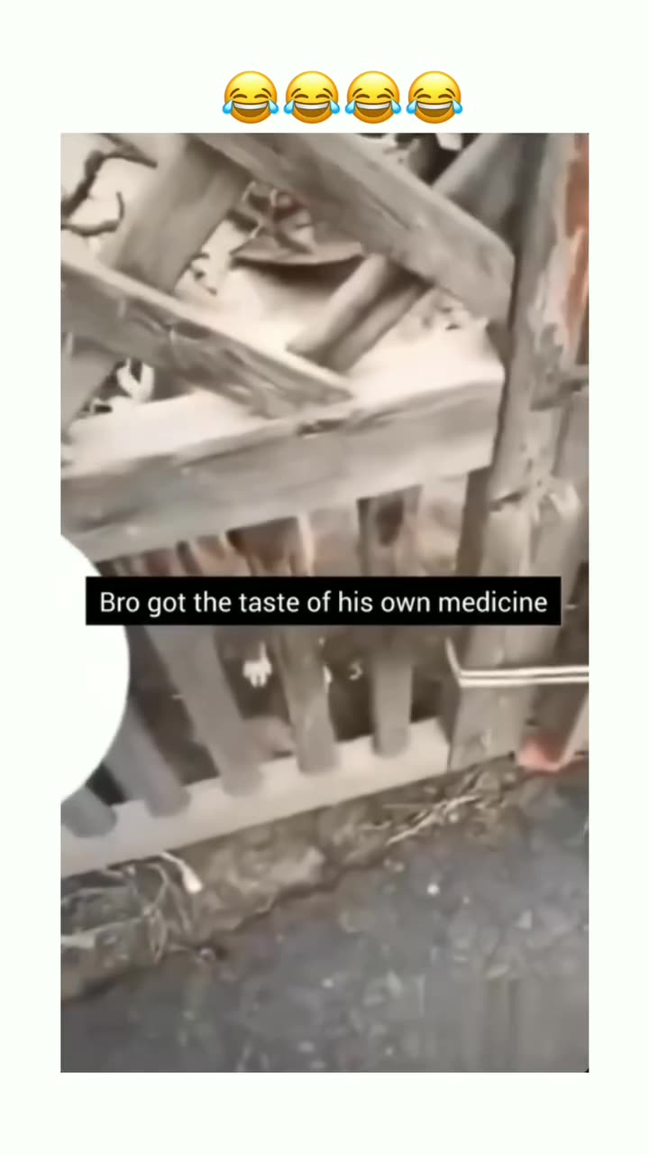 Bro got the taste of his own medicine