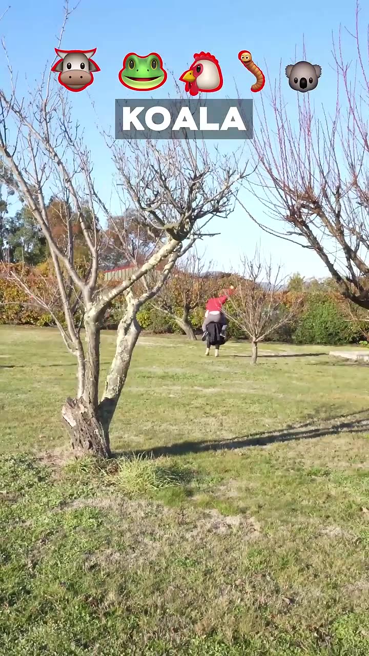 If animals glitched IRL 😂 pt 3