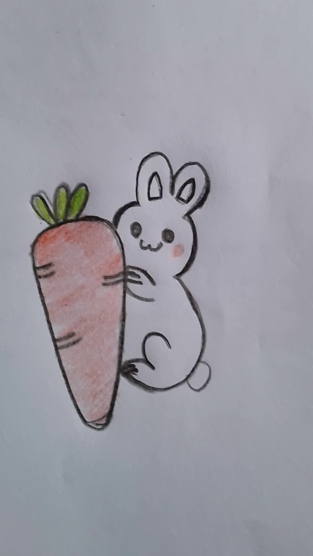 Easy Rabbit Drawing Idea's
