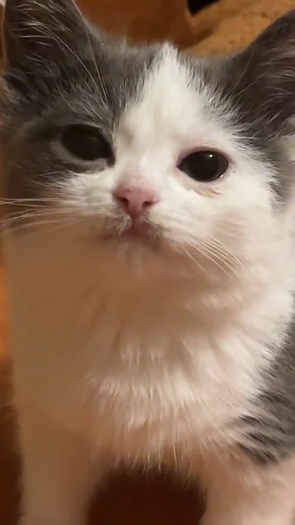 his little tired beady eyes 😭😭