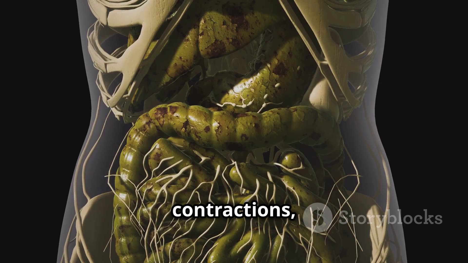 The Amazing Journey of Your Food: Digestive System Explained!