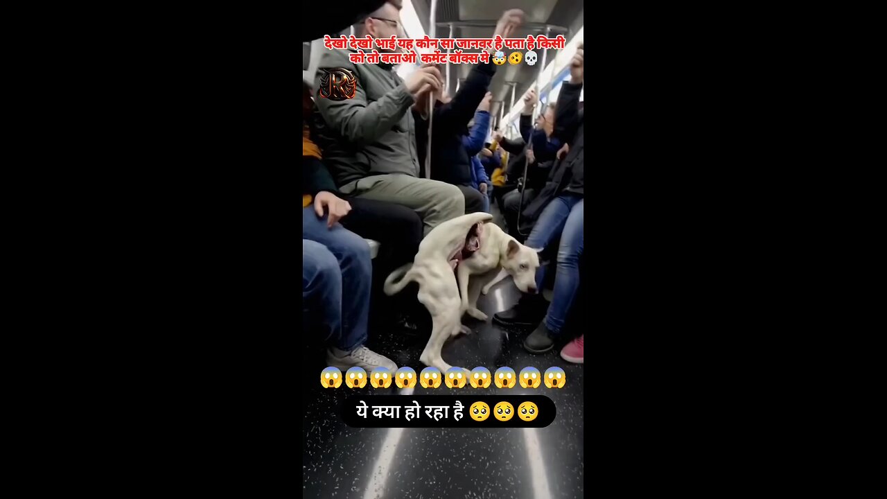 Sarika's STEAMIEST Moments in Ullu Web Series Revealed! HOTTEST ROMANCE ...