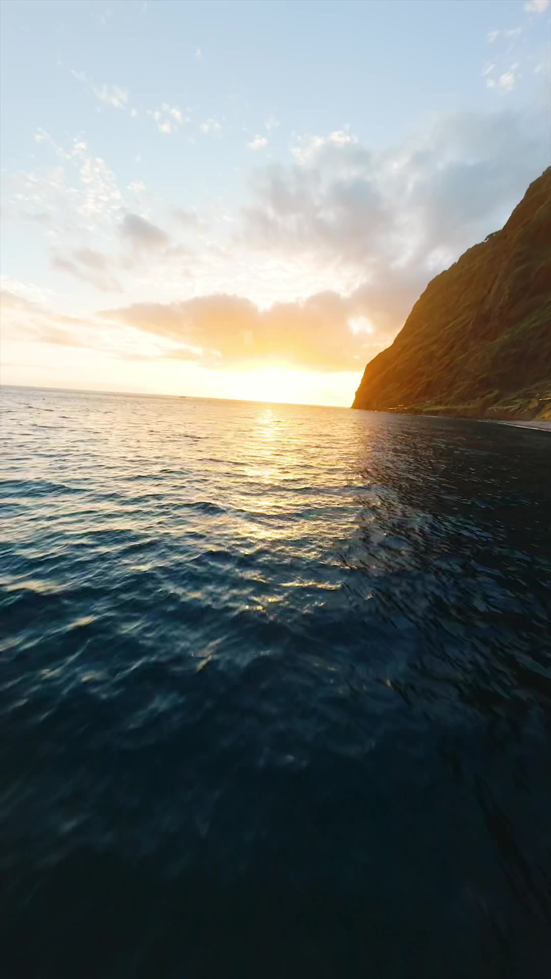 The most beautiful tree in Madeira