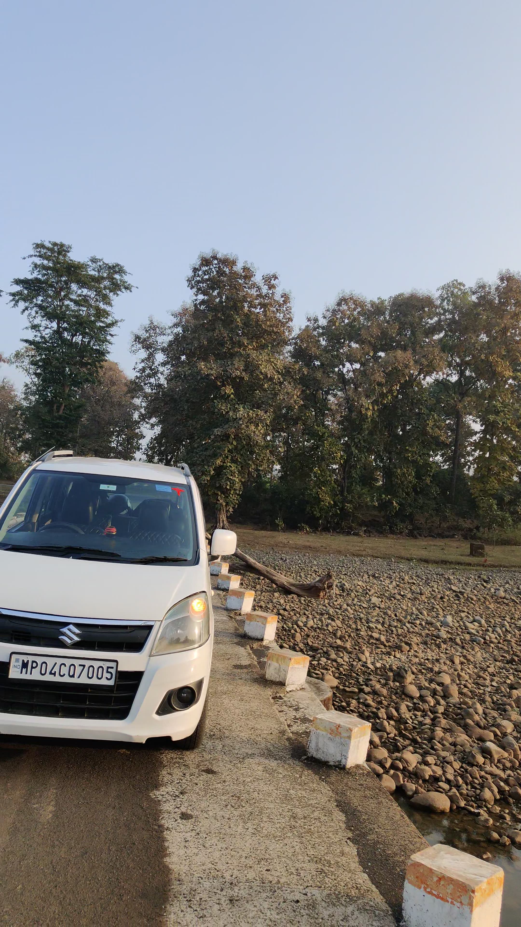 Nadan jungle mp india