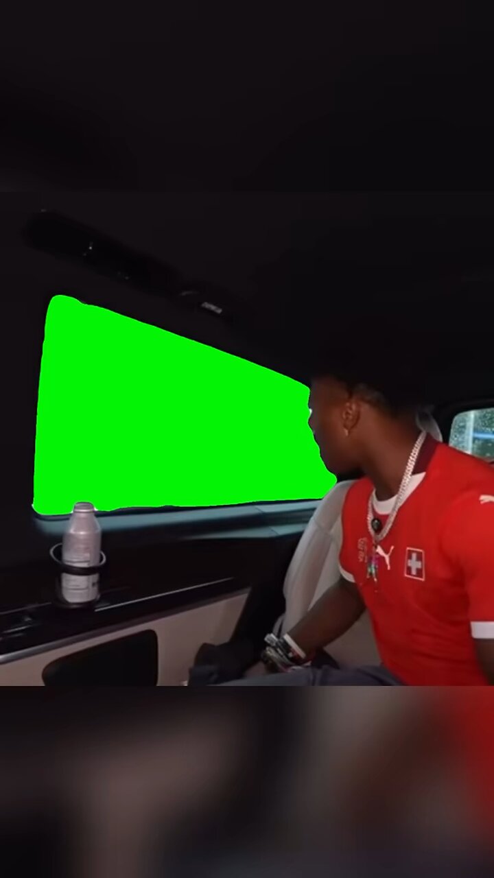 Speed Barking at Window | Green Screen