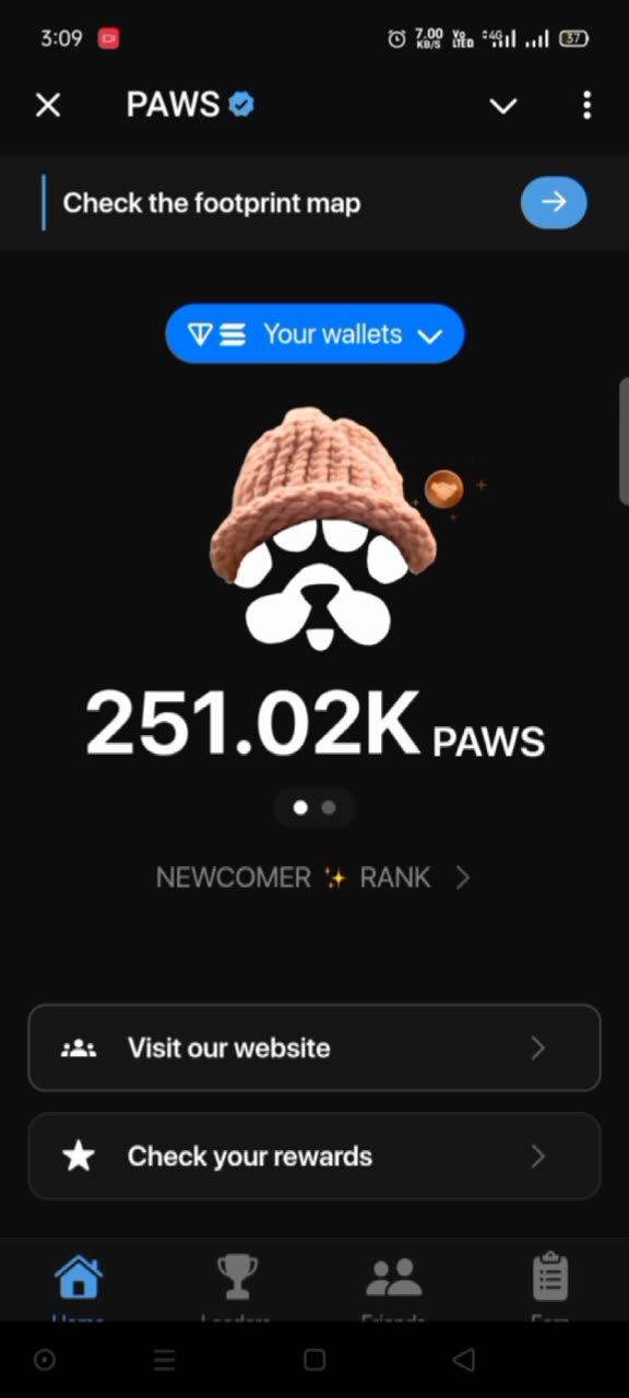 How to connect wallet in Paws| paws| Paws airdrop