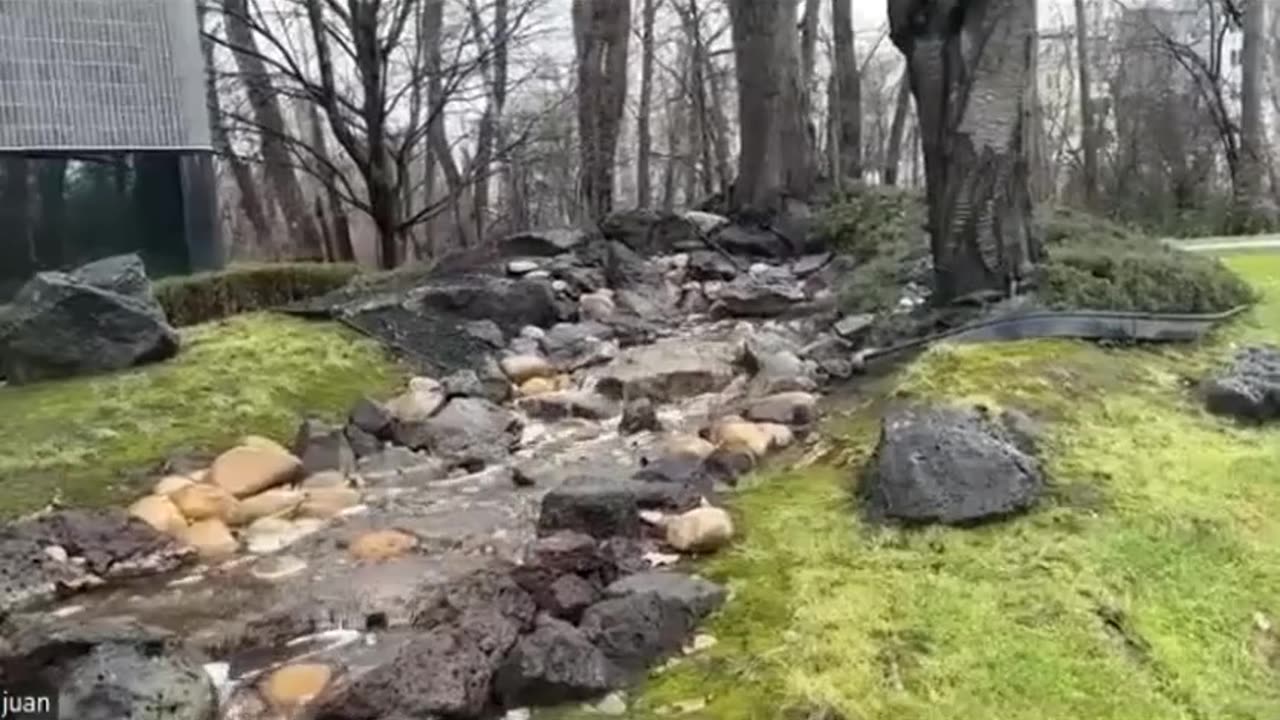 Joan O' Savin: The BIG PELOSKI? It Sure Looks Like That!