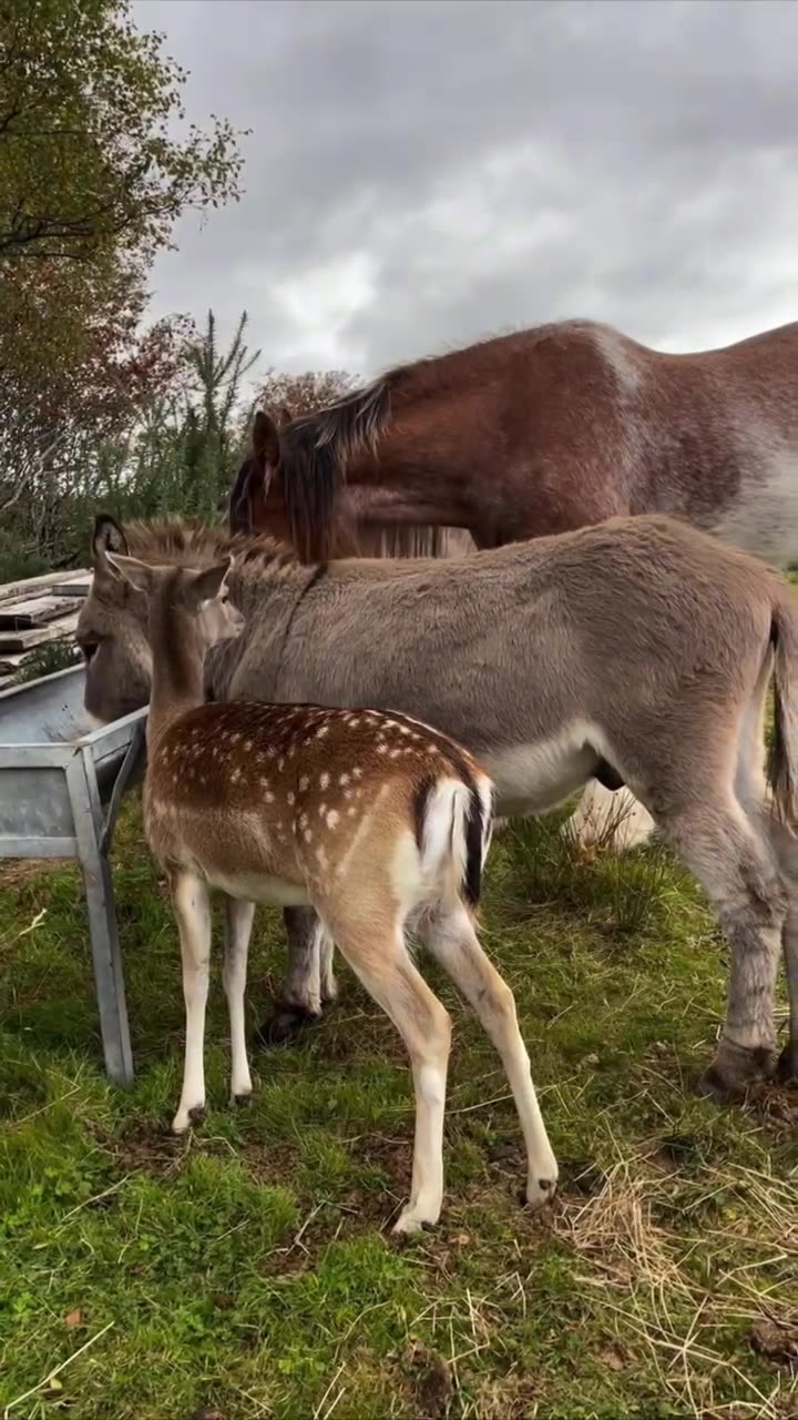 This is how the gang got together😊