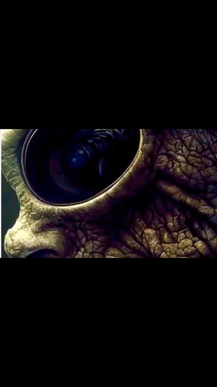 Epstein survivor claims she saw Epstein shapeshift before her eyes