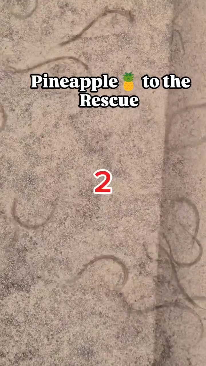 Pineapple can help fight human parasites