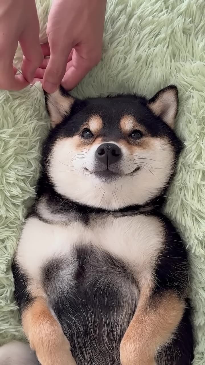 Manyu ASMR - First Immersive SPA of 2025