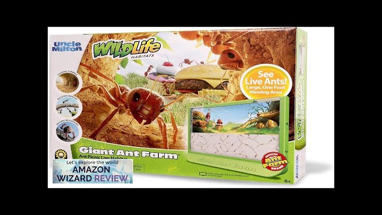 Uncle Milton Giant Ant Farm Large Viewing Area Care Review