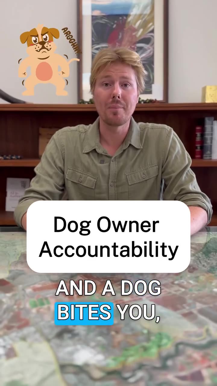 Dog Owner Accountability