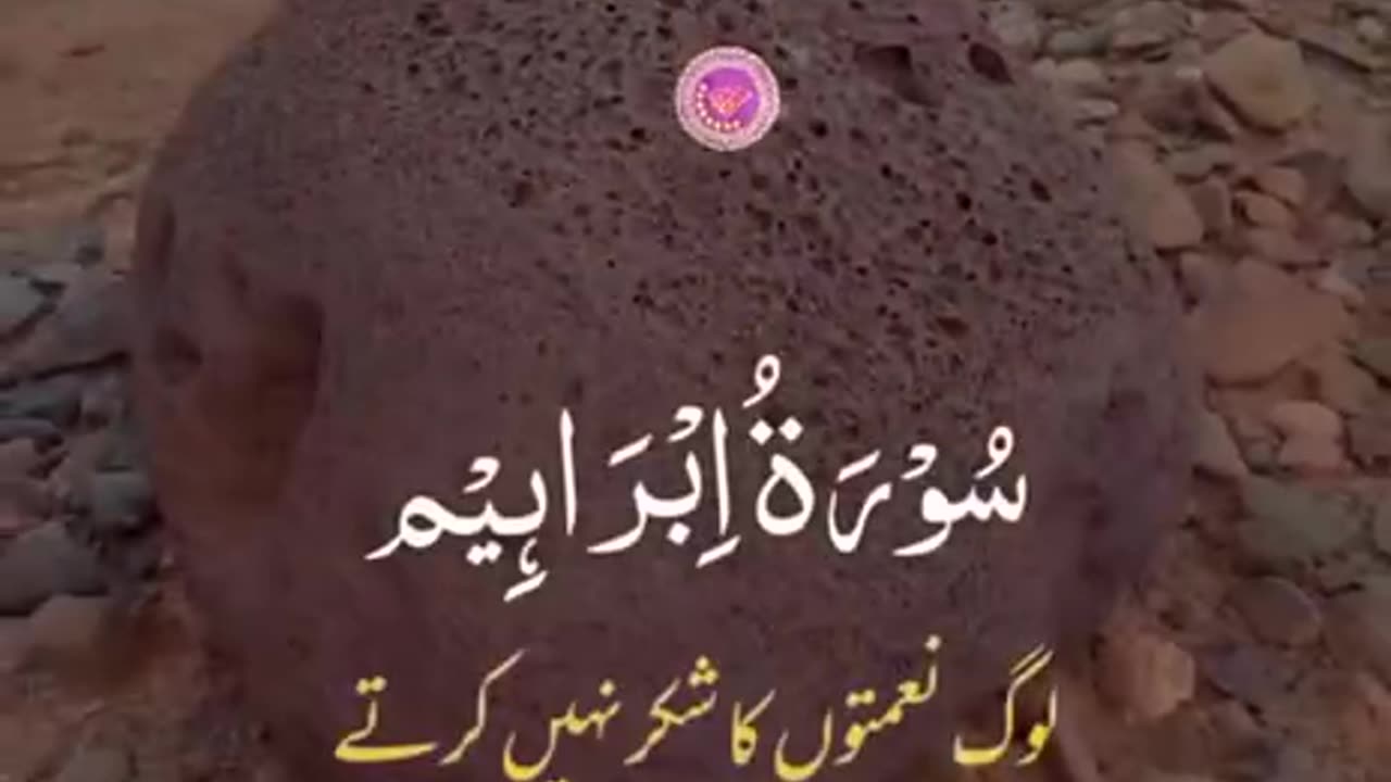 Beshak 💯♥️ 🕊️