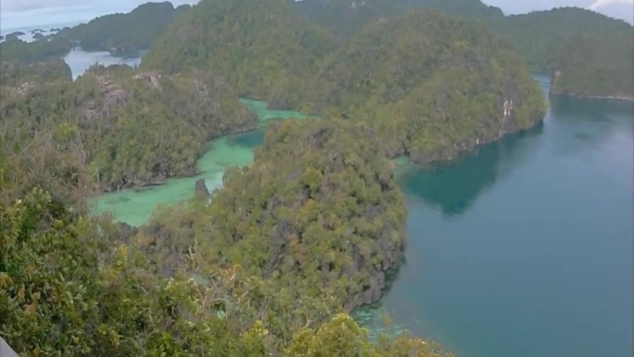 Indonesia - Misool Love Pool hike and boat tour