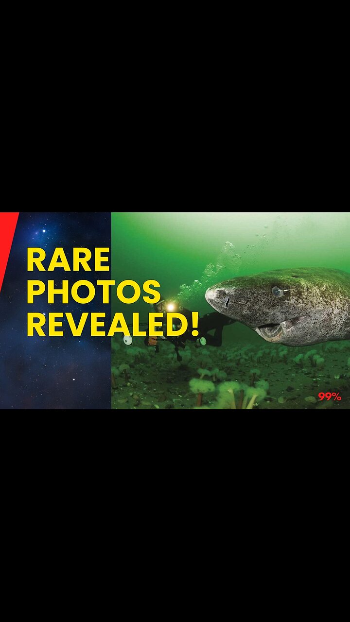 UNSEEN PHOTOS! Shocking Rare Images Revealed! (You WON'T Believe)