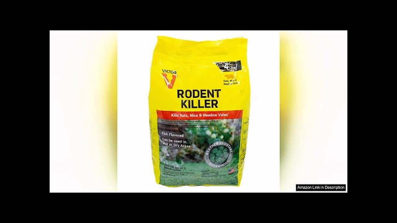Victor M925 Ready-to-Use Rodent Poison Killer - Kills Rats, Mice Review
