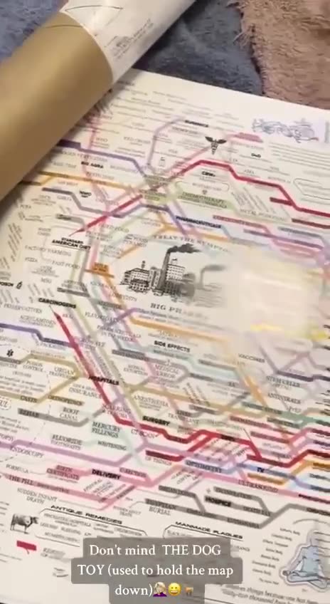 The ultimate guide to holistic healing! 🌿 🔥 - Healing Web Poster