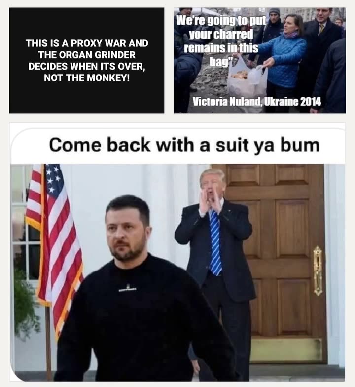 The Story of Minnie the Moocha