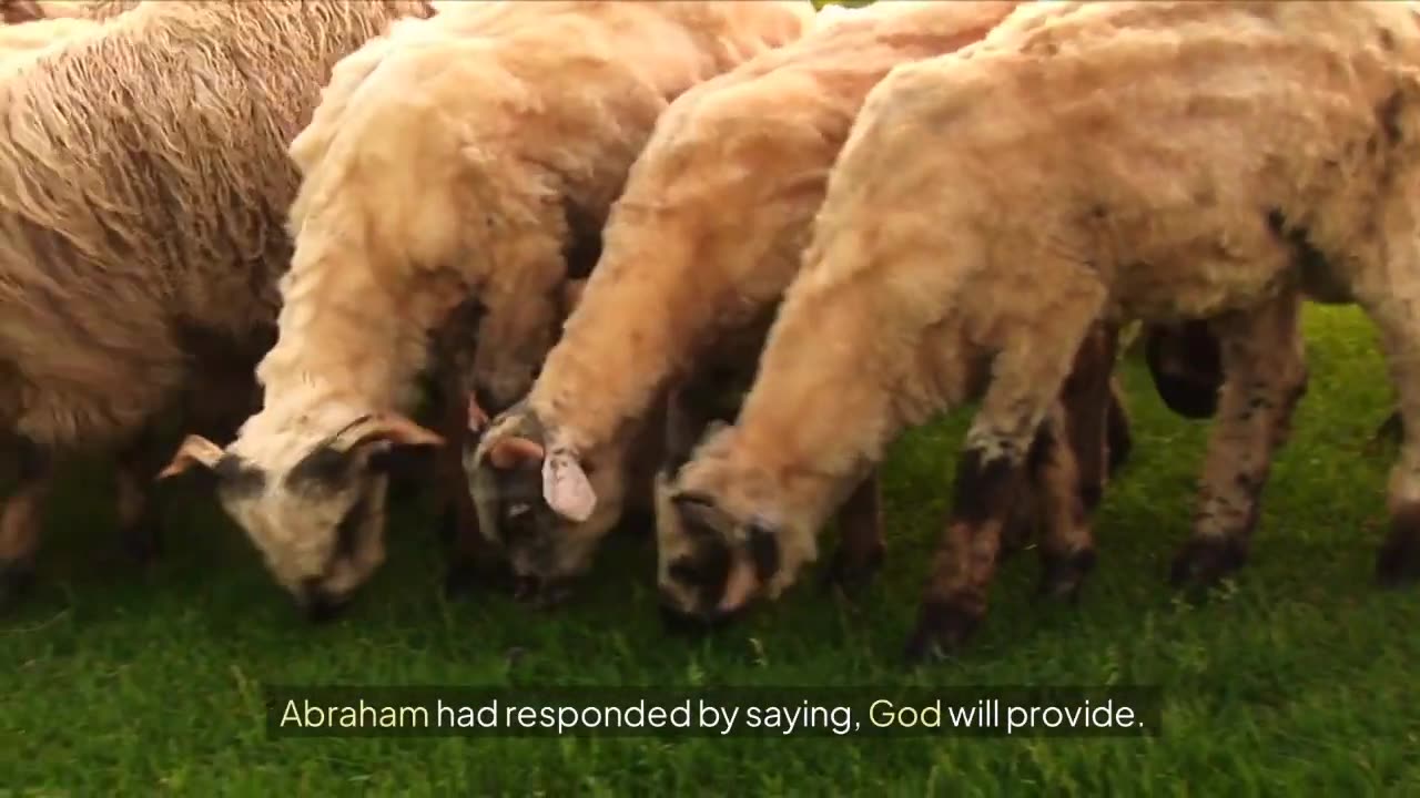 Genesis chapter 21-25 Bible Study