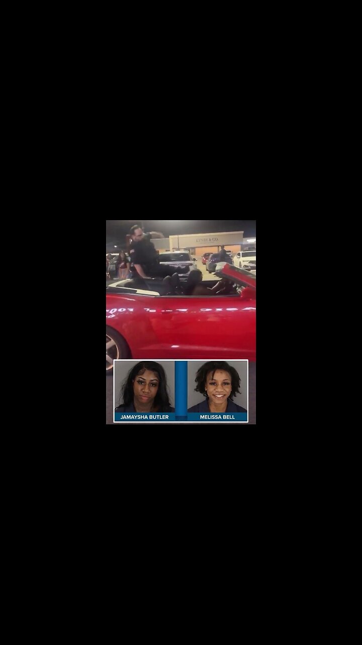 Drunk Woman Tries To Flee Arrest…Leaves In Car With Cop On Top…Cop ...