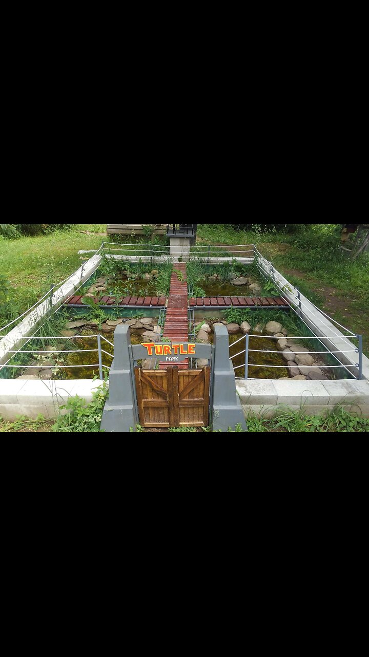 Welcome to Turtle Park