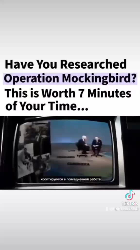 Operation Mocking Bird