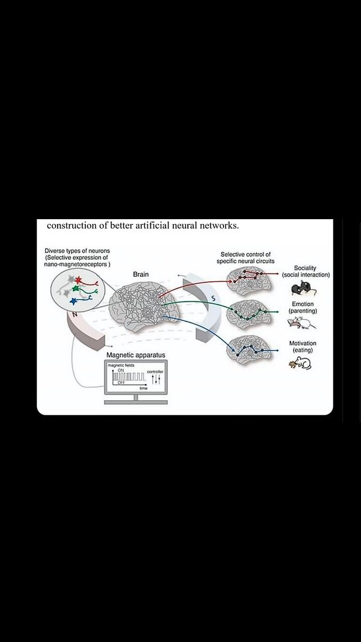 This is the human hive mind