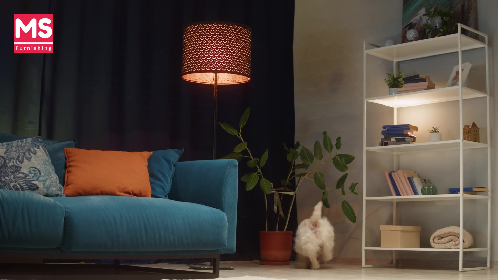 Explore Trending Sofa Designs For 2025