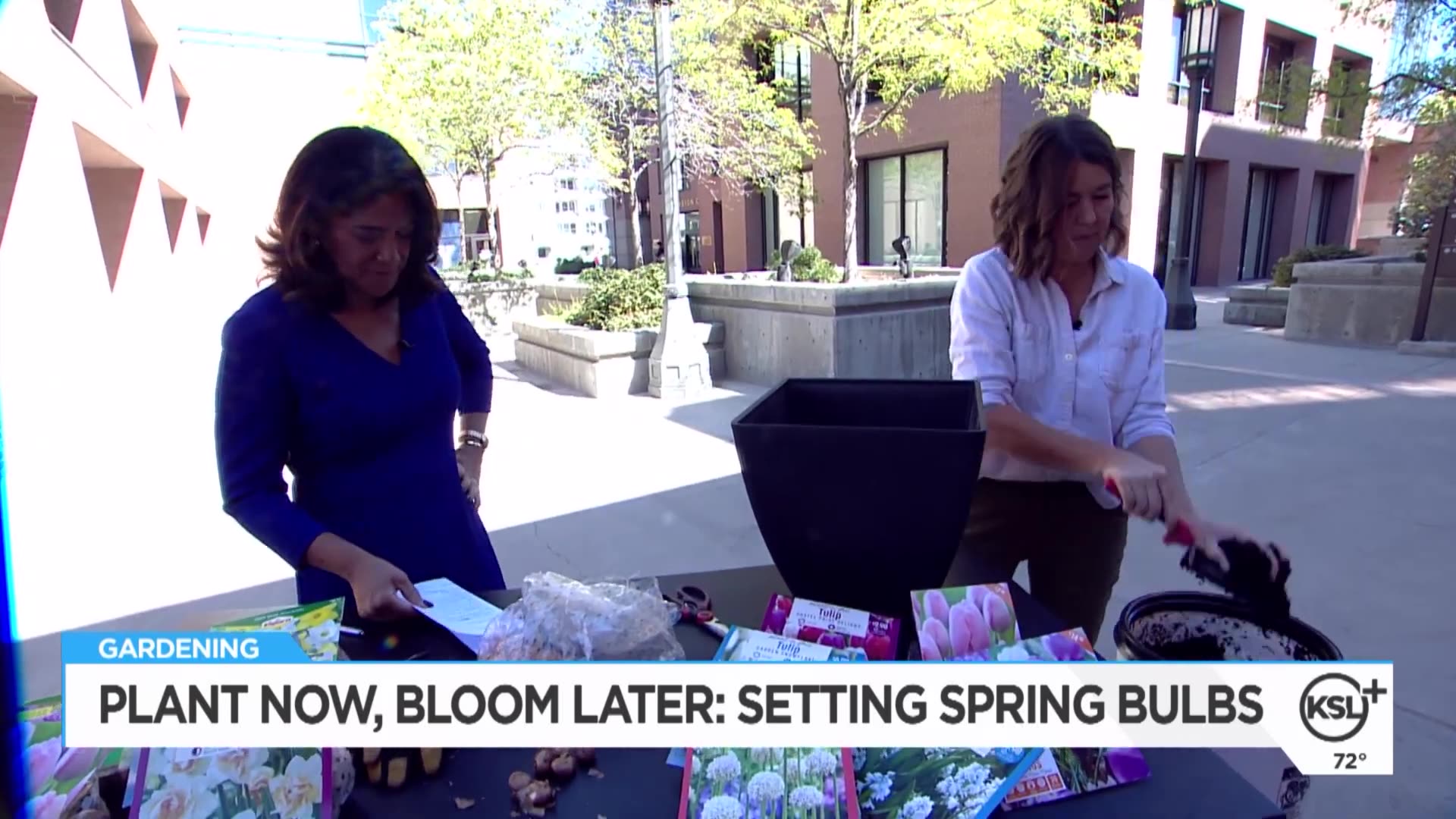 Plant now, bloom later! The easy _bulb lasagna_ formula for staggered spring flowers