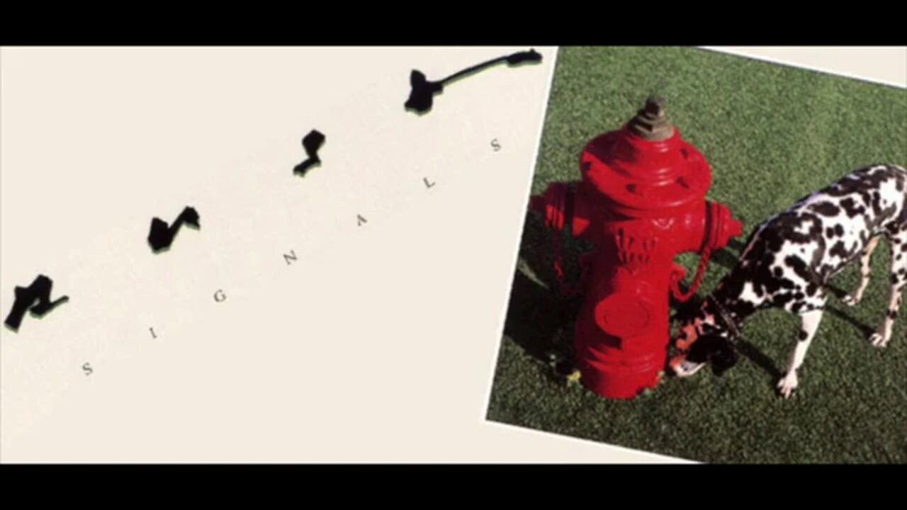 Rush - Signals (1982) [Full Album] Vinyl Rip