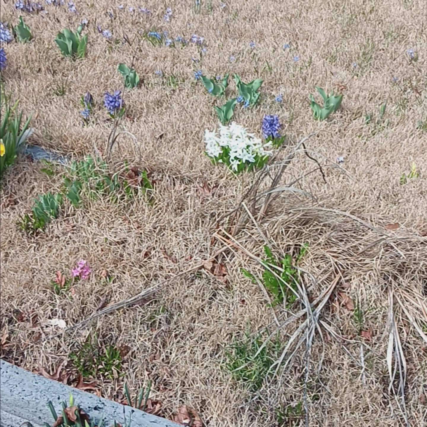 Spring colors.