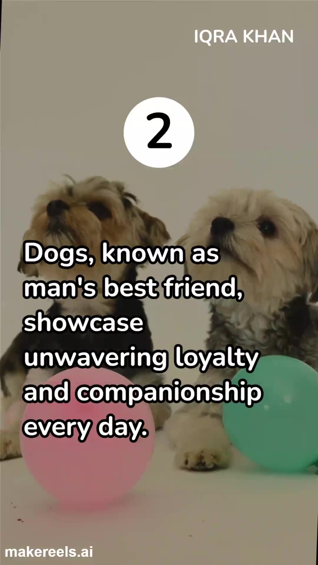 The Top 5 Most Loyal Animals in the World