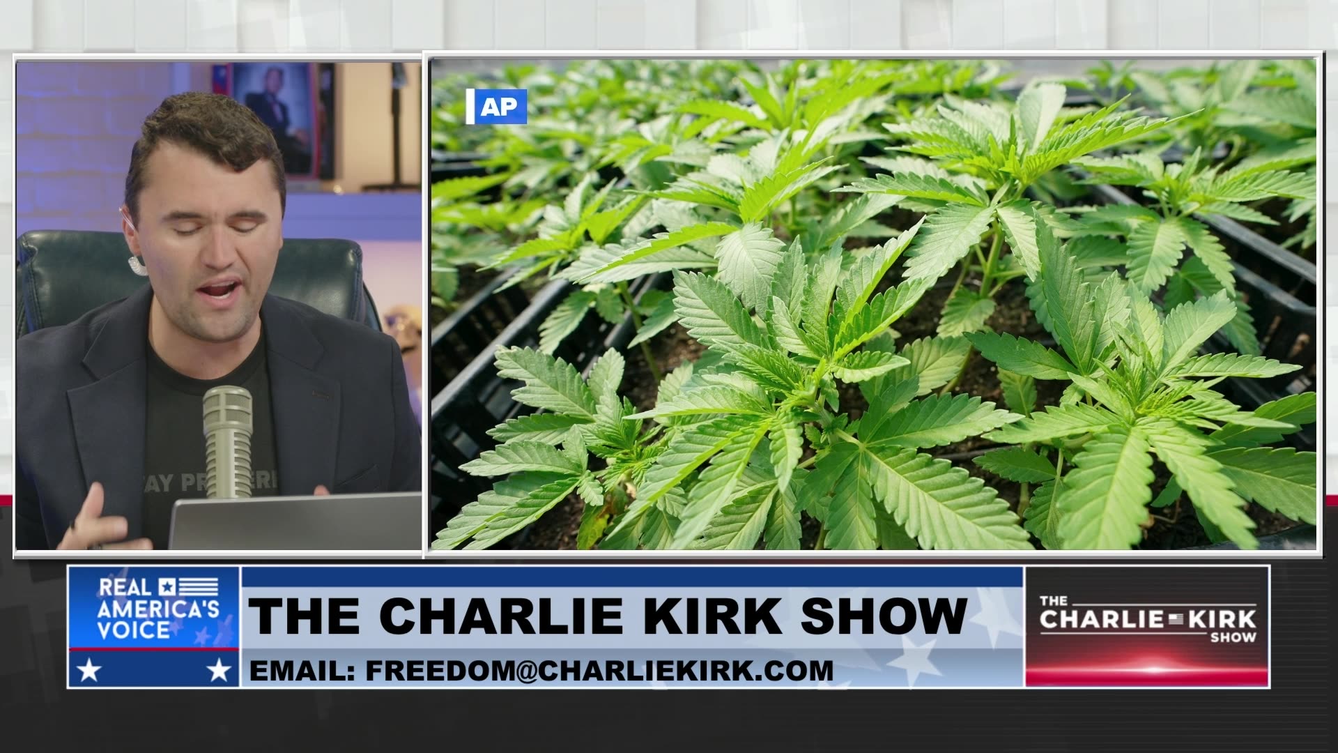 Debunking the Biggest, Most Catastrophic Lies the Marijuana Industry ...