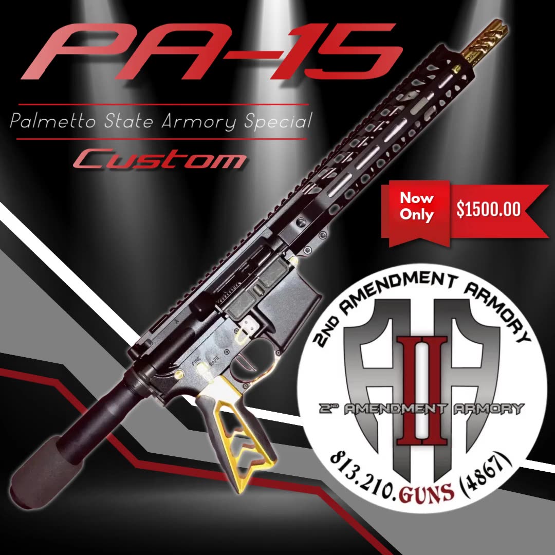PA-15 Custom Build – Precision, Power, Perfection Built for Performance ...