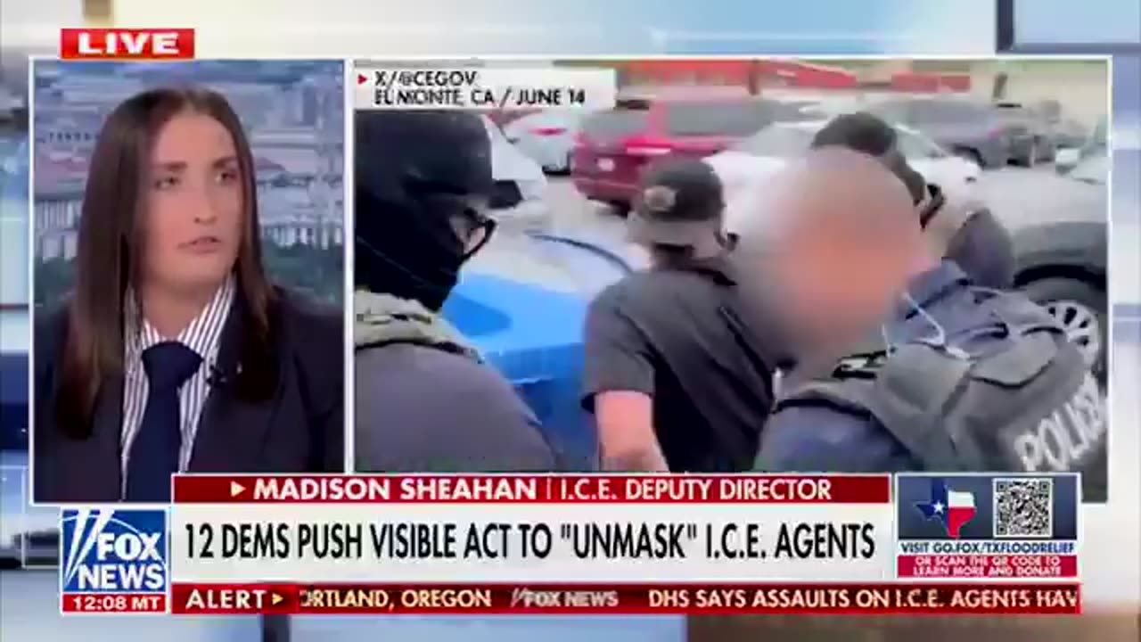 ⚠️ ICE Deputy Director Madison Sheahan addresses the “VISIBLE Act” co ...