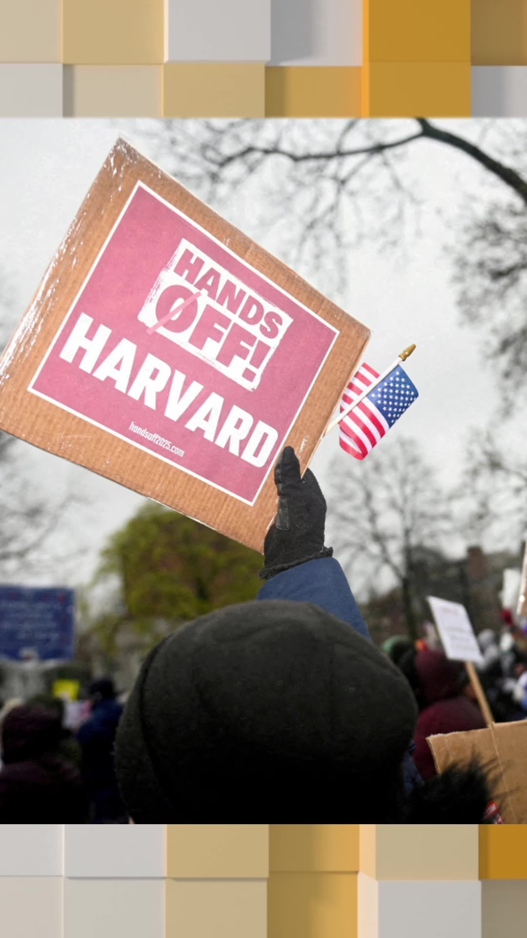 Harvard Stripped of Federal Research Grants Over DEI, Antisemitism, and ...