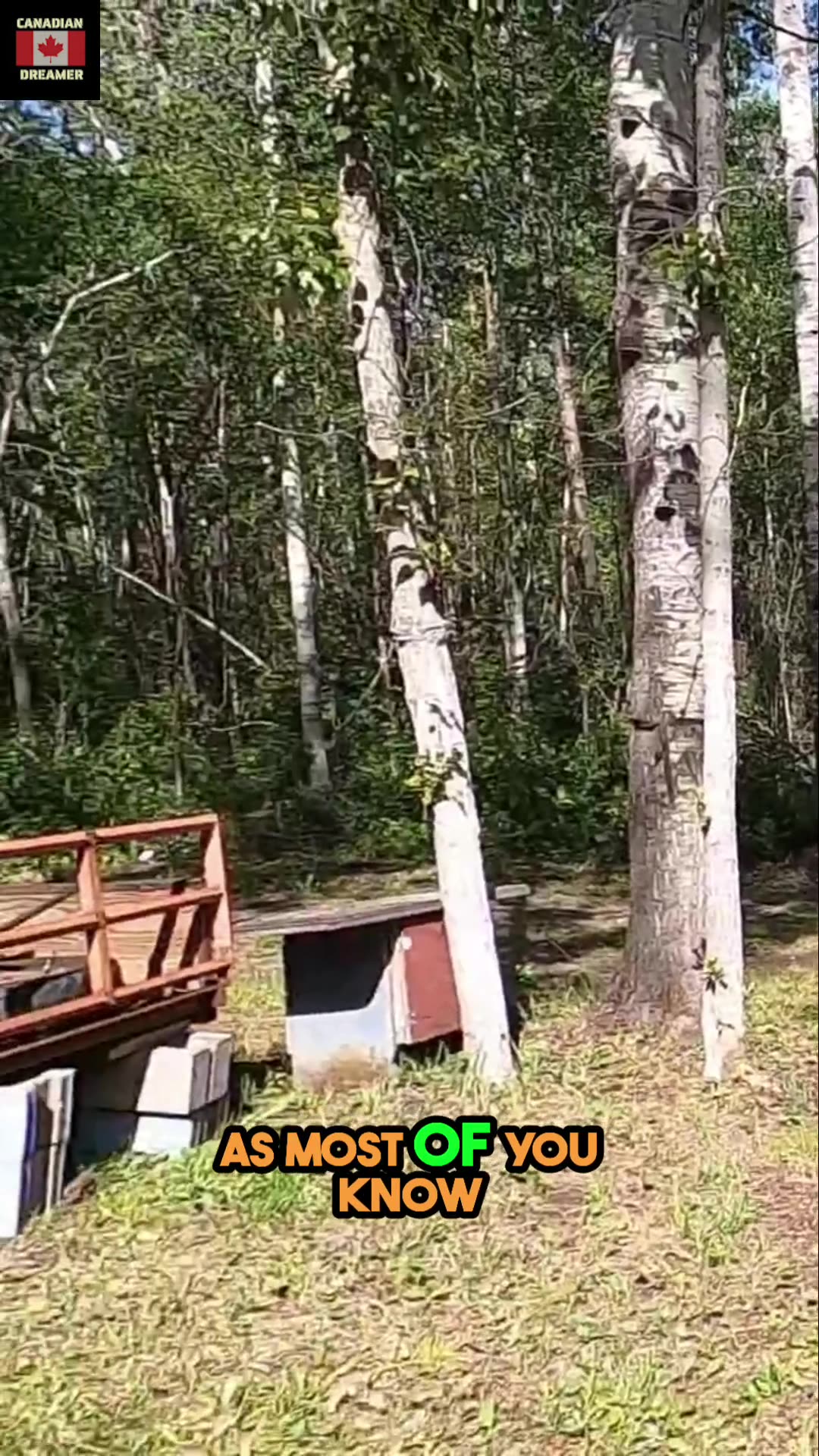 Off-Grid Hack_ Free Heat From Cardboard_ You Won't Believe It! #livingoffgrid