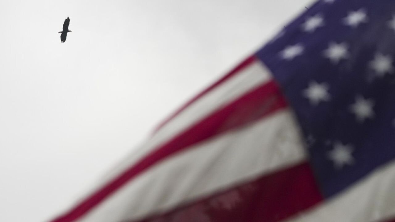 David Horowitz, Author And Founder Of The David Horowitz Freedom Center ...