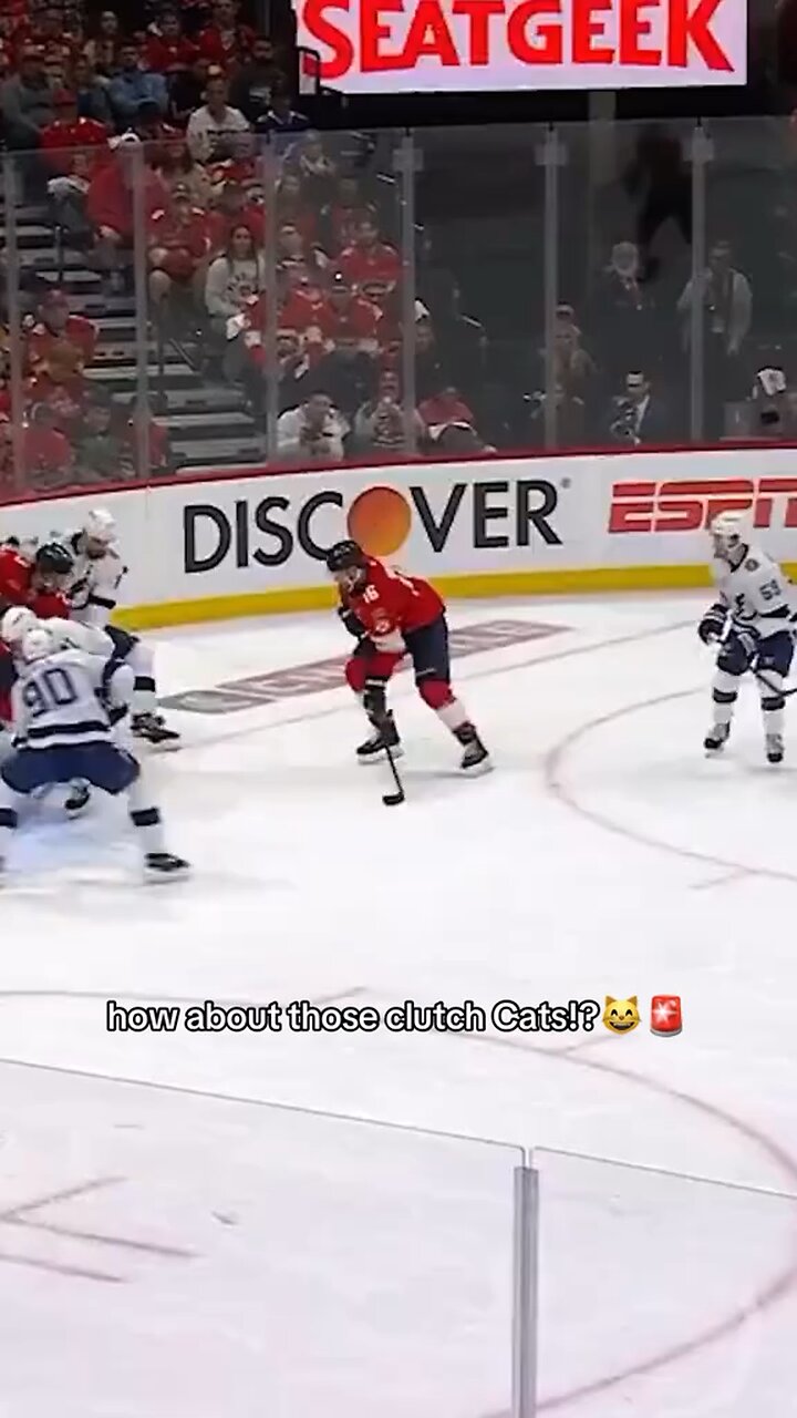 The comeback Cats were alive last night! Scoring twice in 11 seconds to ...