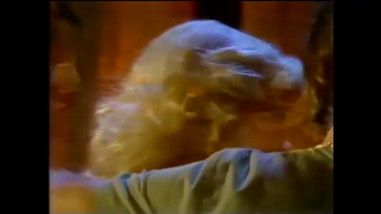 Olivia Newton-John & Cliff Richard - Suddenly Lyrics