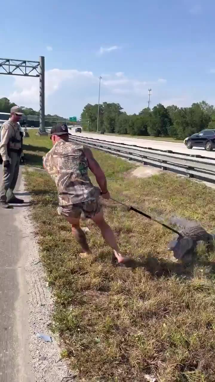 Viral Video. MMA fighter Mike Dragich Gator wrestling!