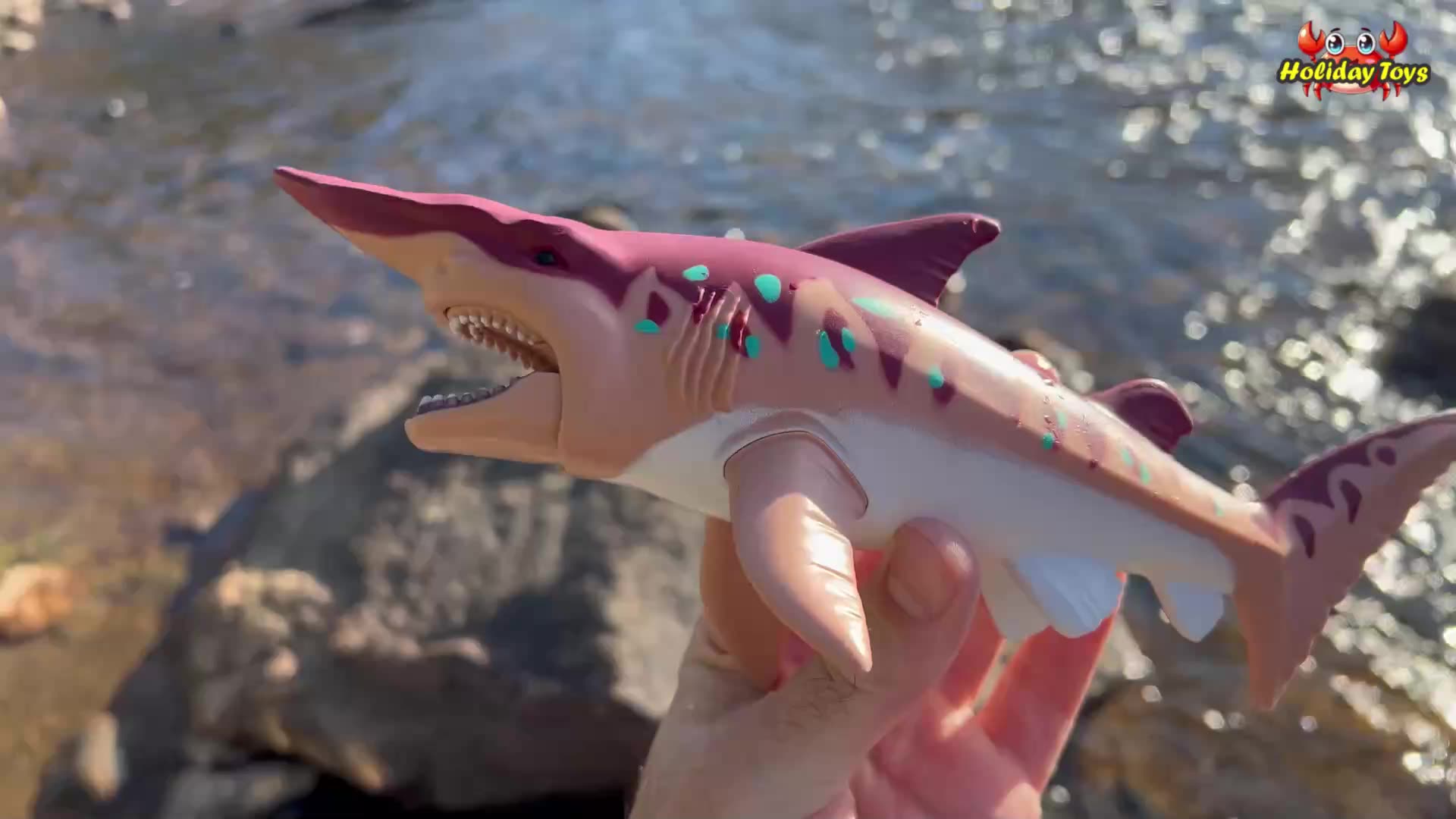 Introducing Various Types of Sharks in the Ocean