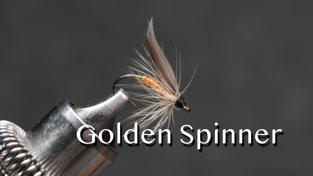 Golden Spinner: a trout fly from Favorite Flies and Their Histories ...