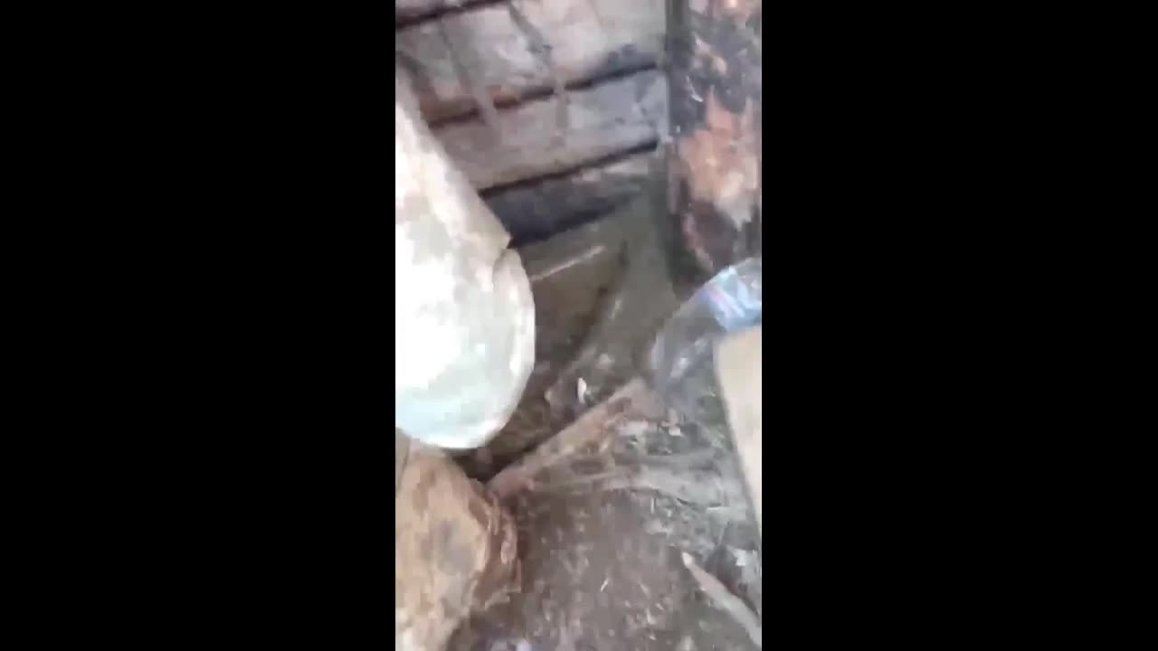 Daddy Goat 24/7 - Out Of Context Memes & Videos
